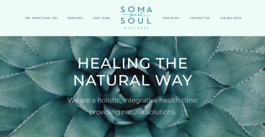 Top 11 Naturopaths in Toronto [2026 ]