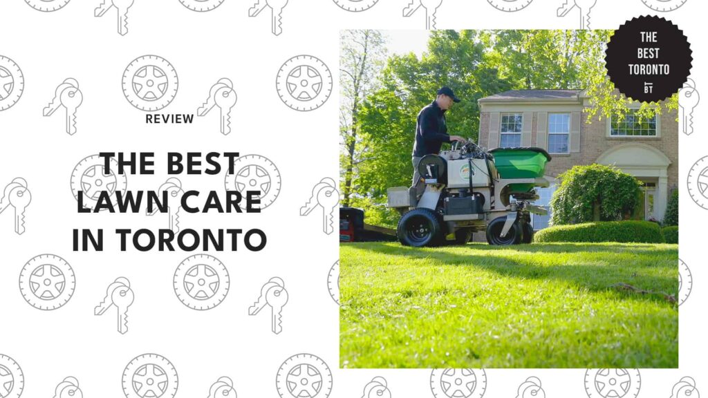 Toronto’s Top Black Hair Salons That Can Tame Your Tresses