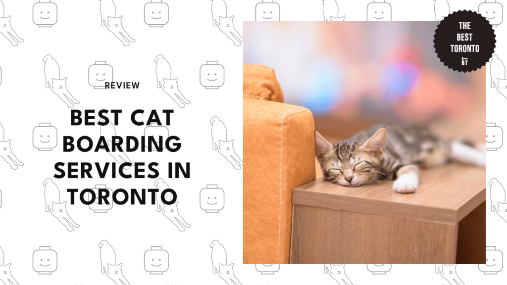 Top 10 New Restaurants in Toronto That Food Critics Adore [2026]