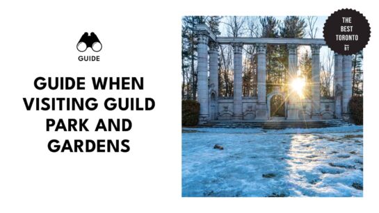 An Artist’s Greenspace: A Guide to Guild Park and Gardens