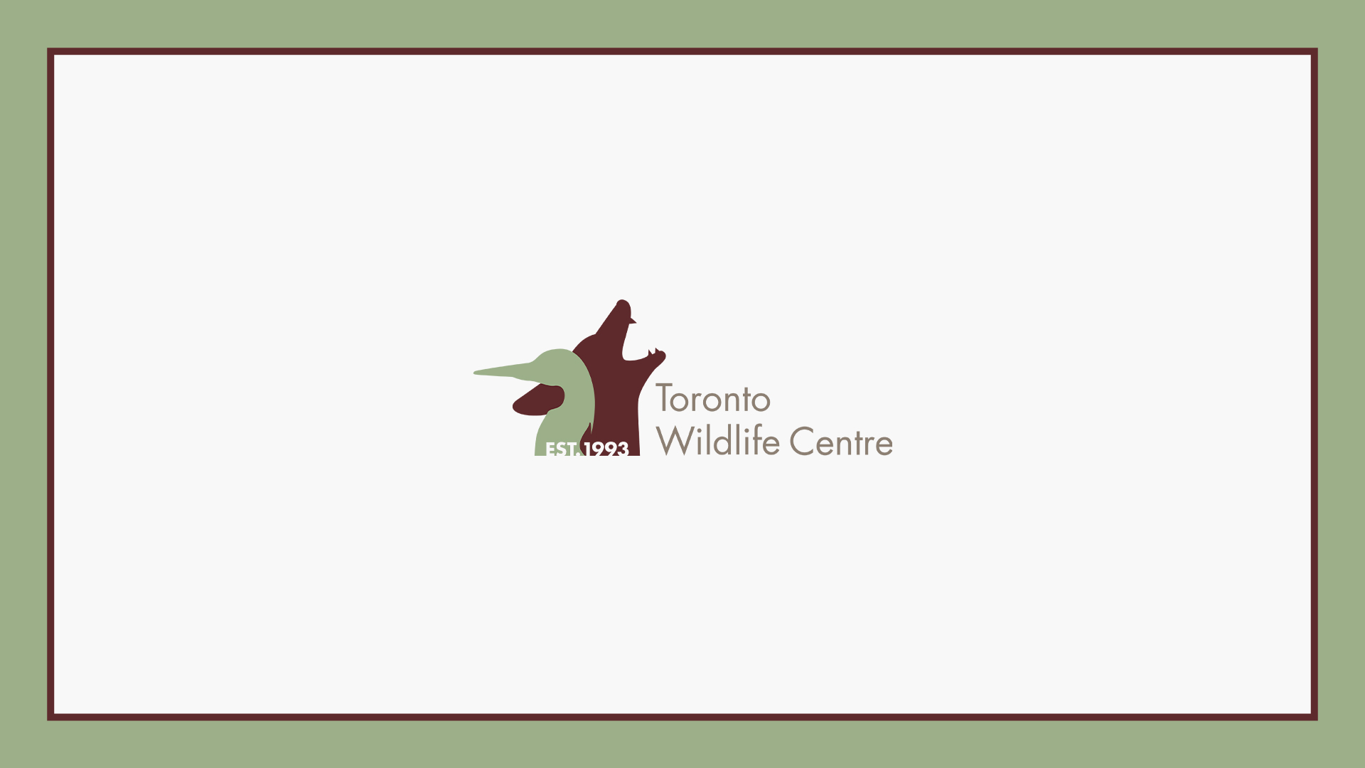 Top 5 Toronto Animal Control Services You Can Rely On [2026 ]