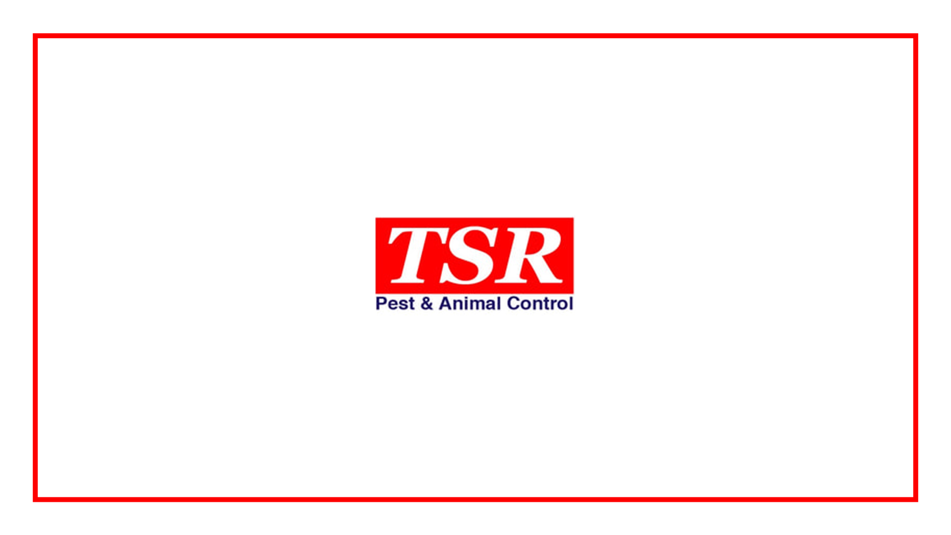 Top 6 Toronto Animal Control Services You Can Rely On [2026]