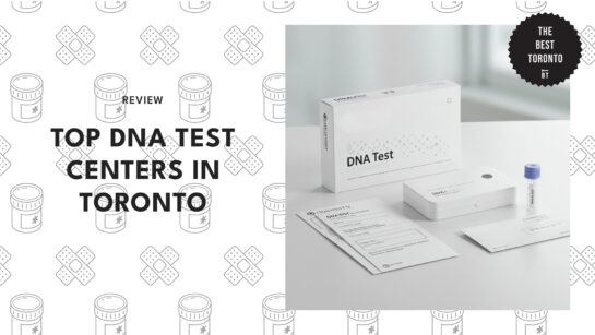 7 Cherry Picking Farms Near Toronto I Visit Every Summer