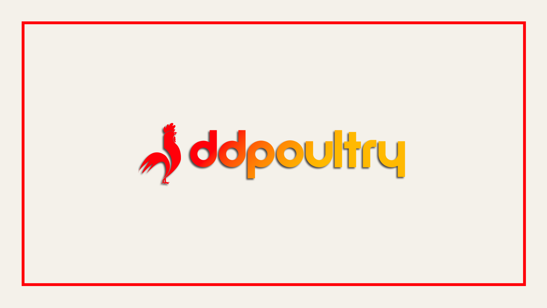 TO’s Top 5 Chicken Meat Producers Ranked by Local Chefs