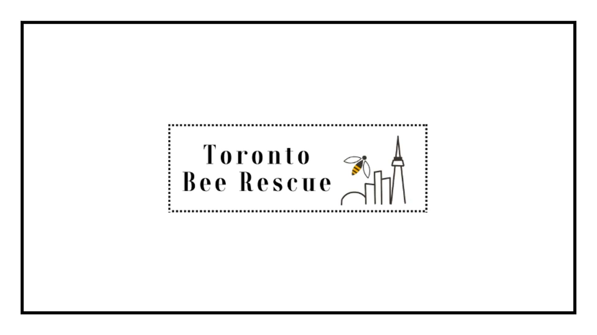Top 5 Toronto Apiaries Approved by Local Honey Lovers [2026]